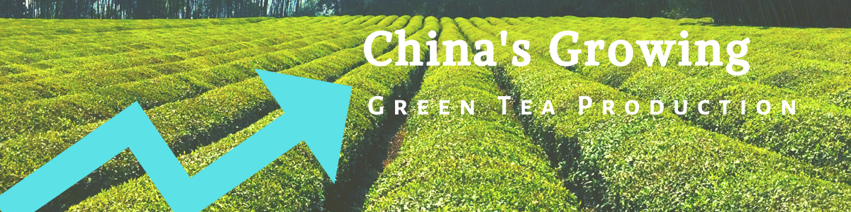 China’s Growing Green Tea Production - Firsd Tea